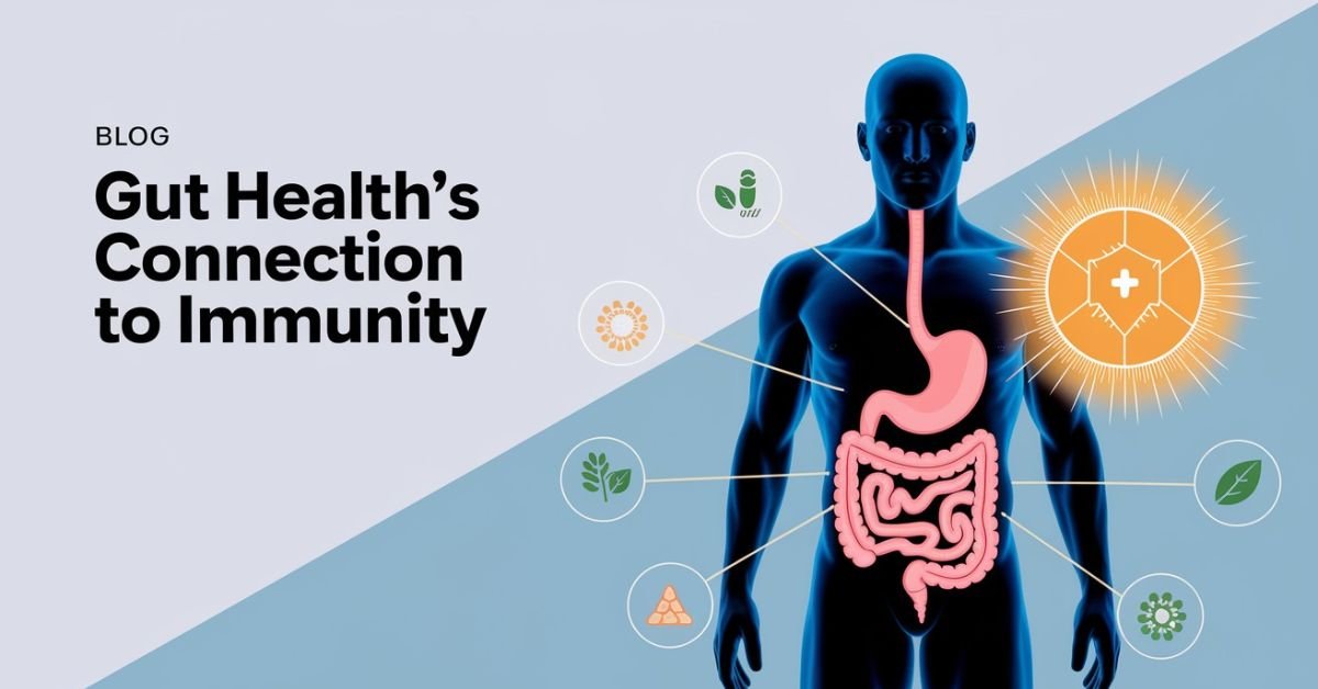 Gut Health’s Connection to Immunity: FitLifeWay 2026